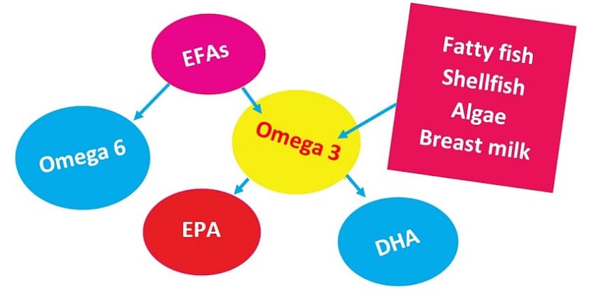 Healthy Brain Development in Children - Articles | Dis-Chem